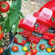 Levington® Tomorite® Concentrated Tomato Food 2.5 litres
